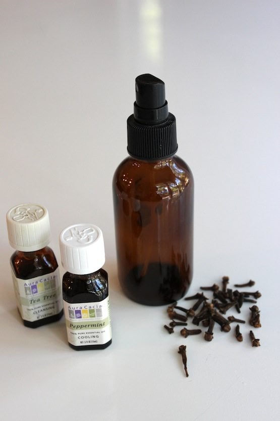 Homemade Pest Prevention Spray - Rachel Hollis