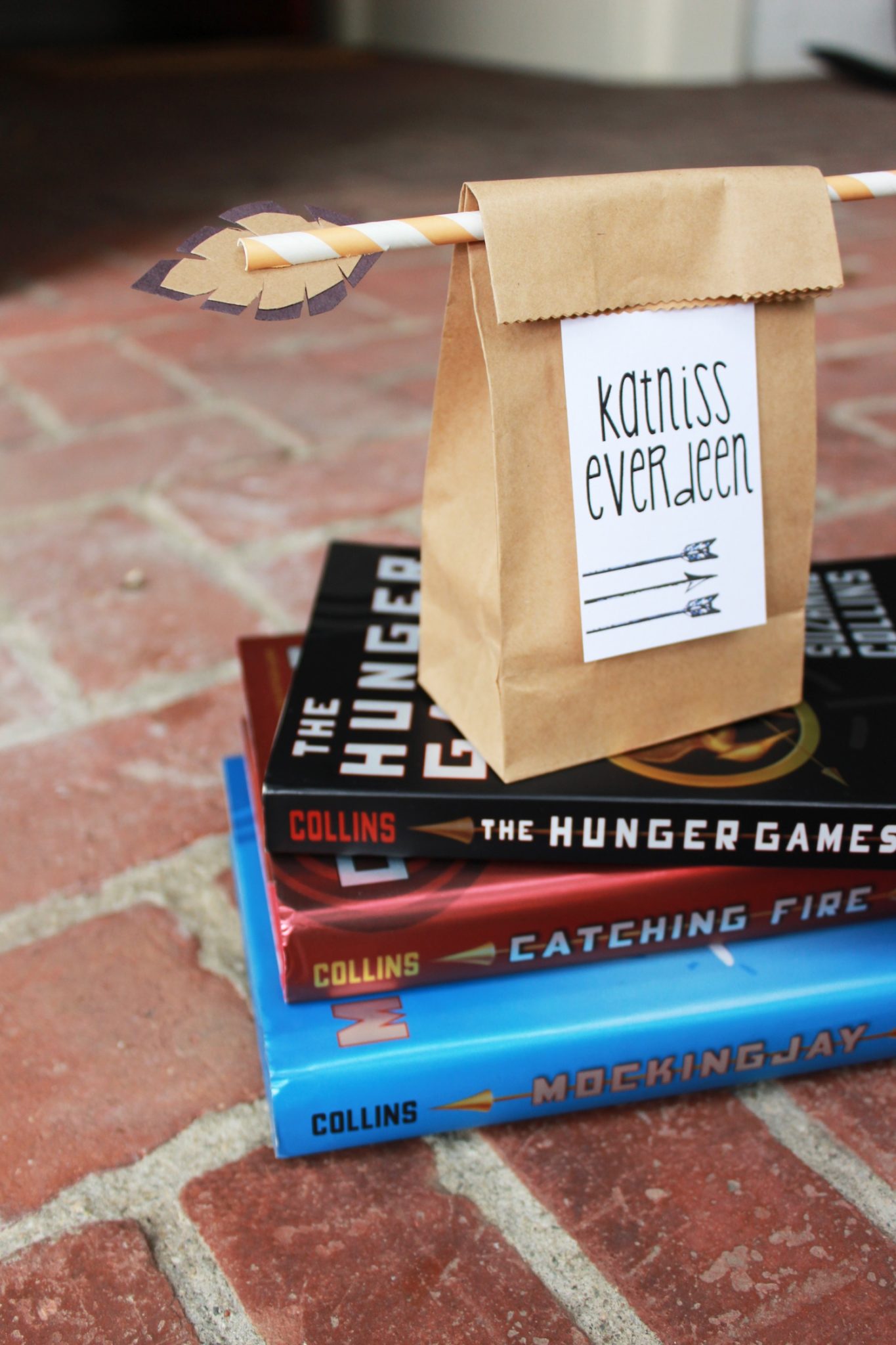 Hunger Games Gift Bags - TheChicSite - Rachel Hollis