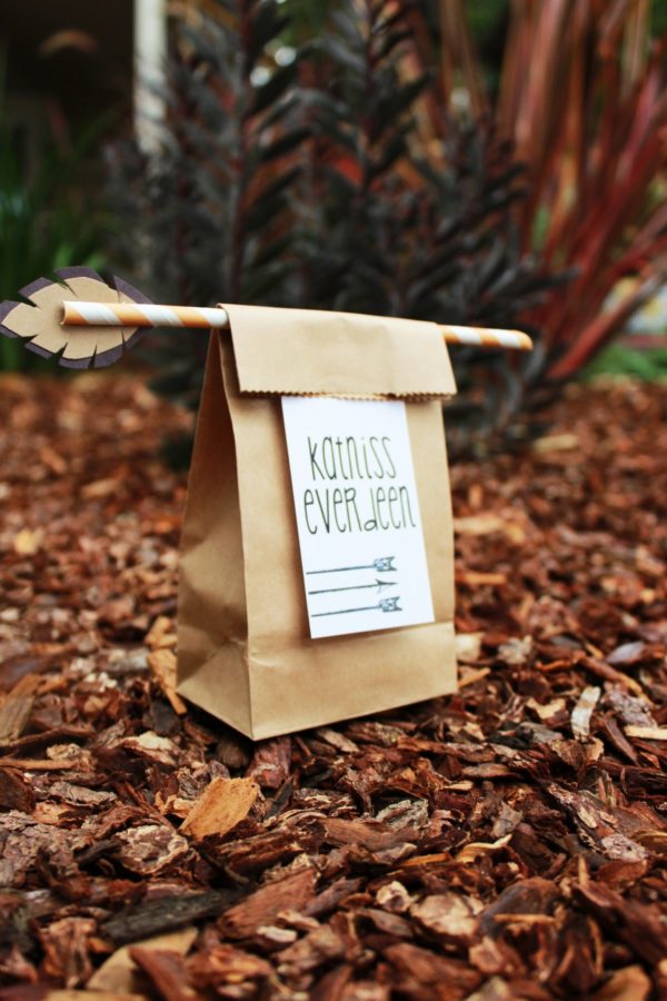 Hunger Games Gift Bags - Rachel Hollis