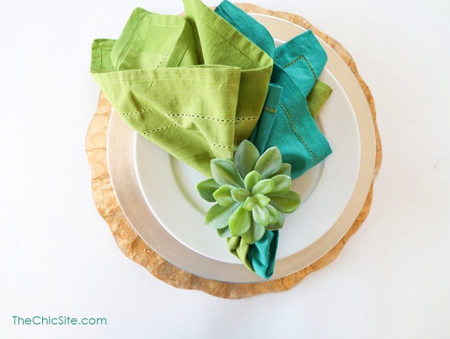 Two Napkin Color Splash - Rachel Hollis