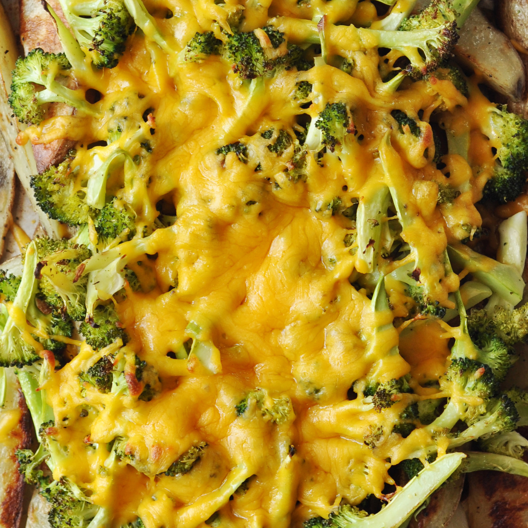 Broccoli Cheddar Oven Fries - Rachel Hollis