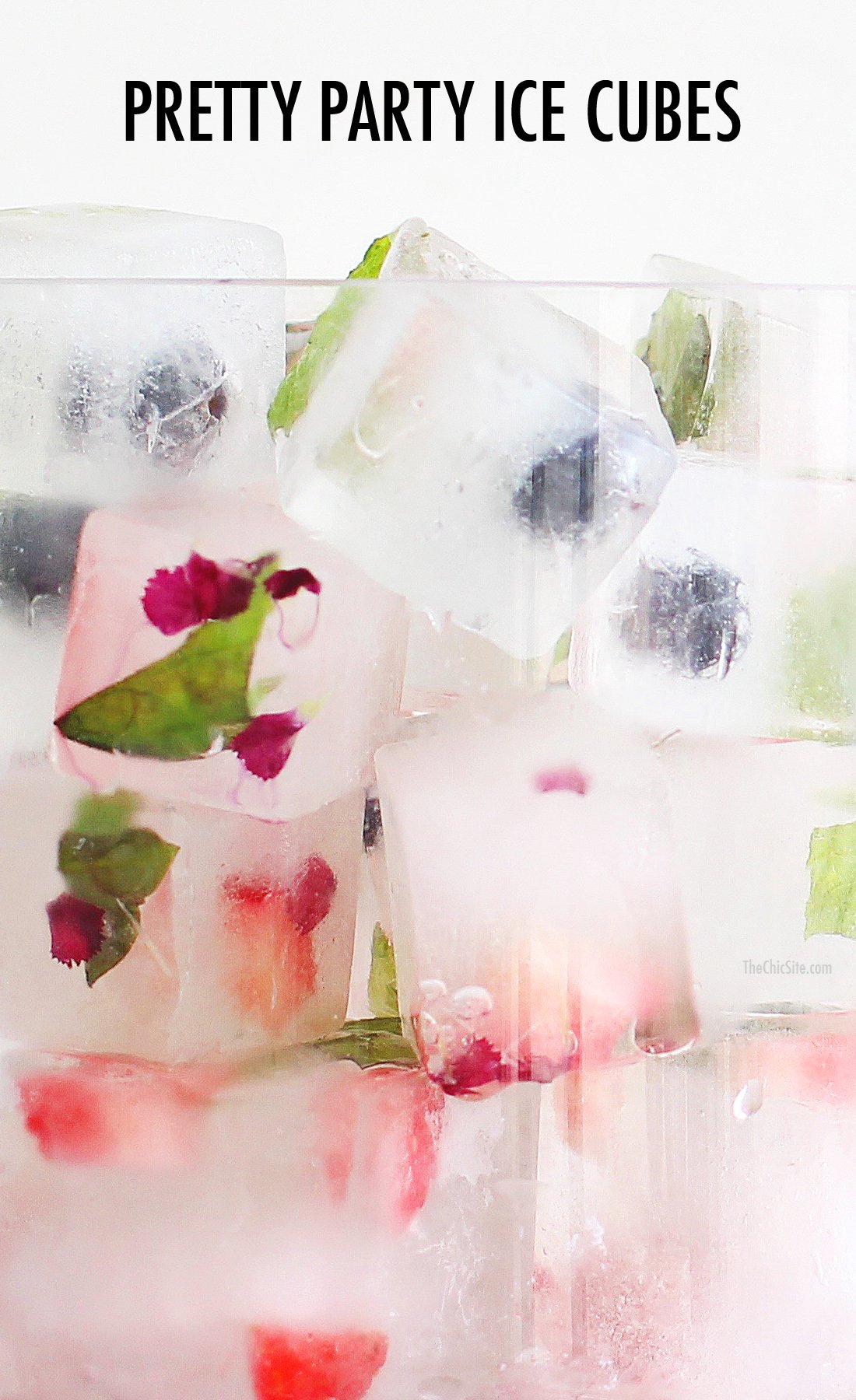 Pretty Party Ice Cubes - Rachel Hollis