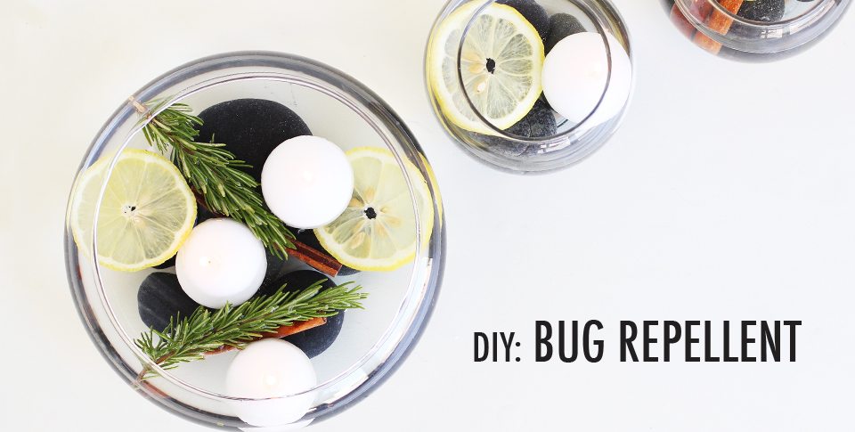 DIY Bug Repellent Featured - Rachel Hollis