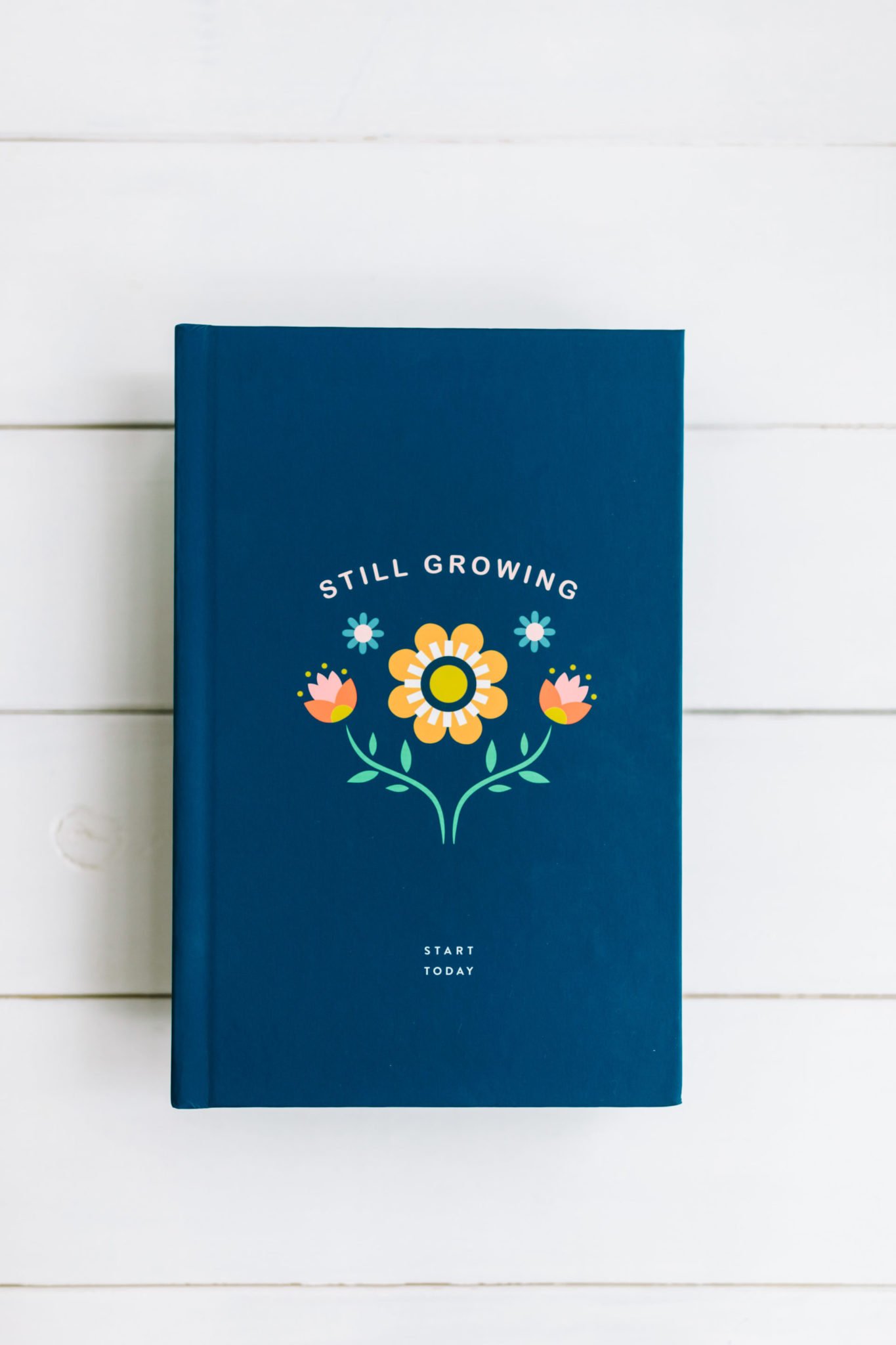 The New Target Line is HERE!! - Rachel Hollis